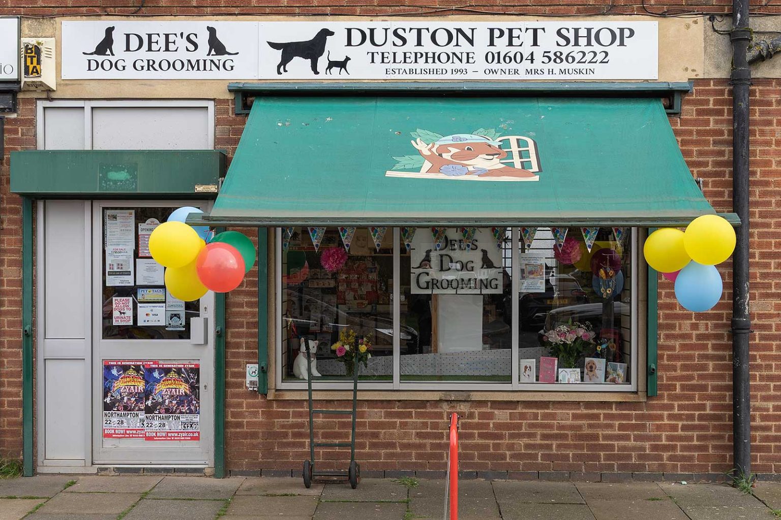 Duston Pet Shop | Celebrating 30 Years Open in 2023